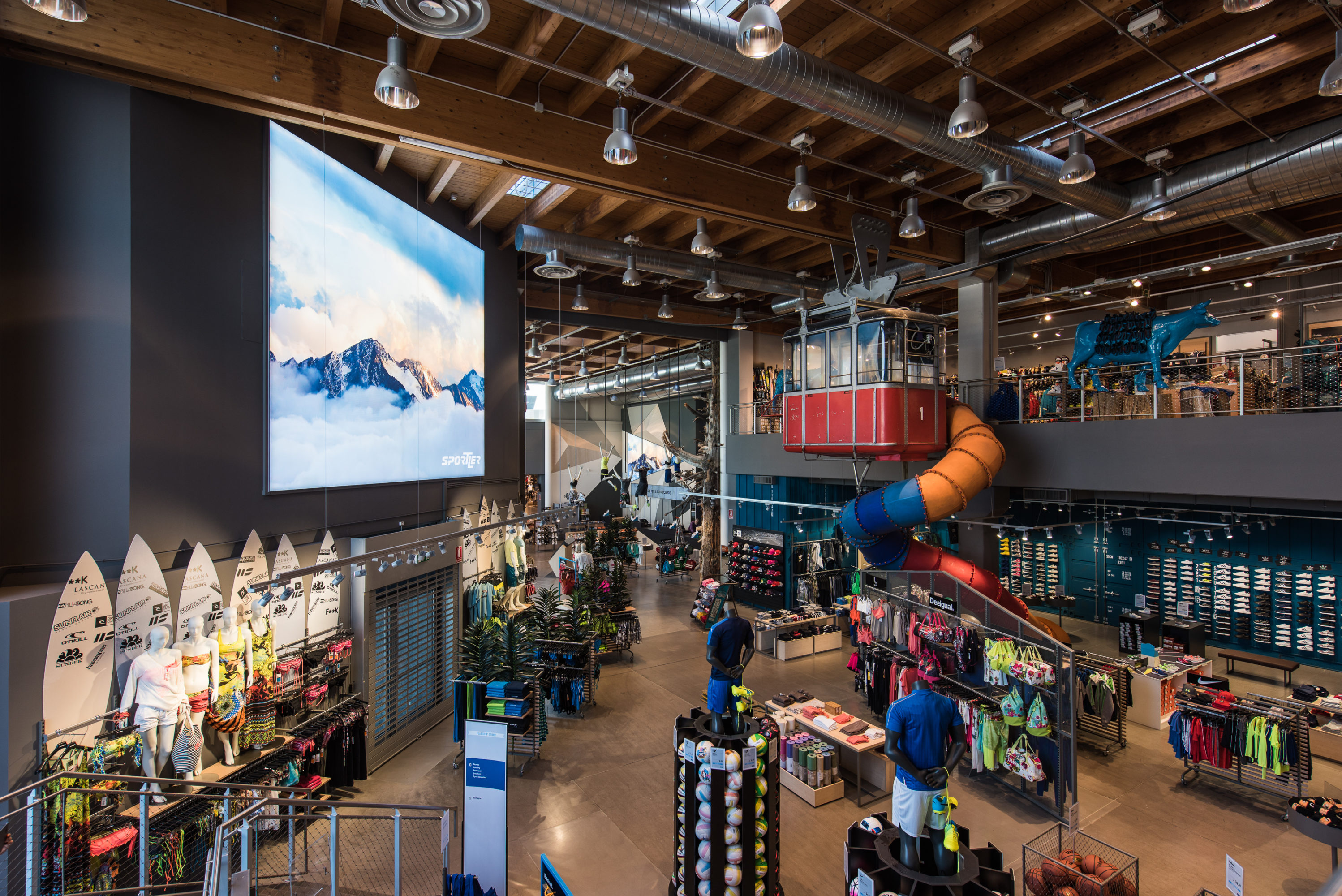 Sportler - Trevision