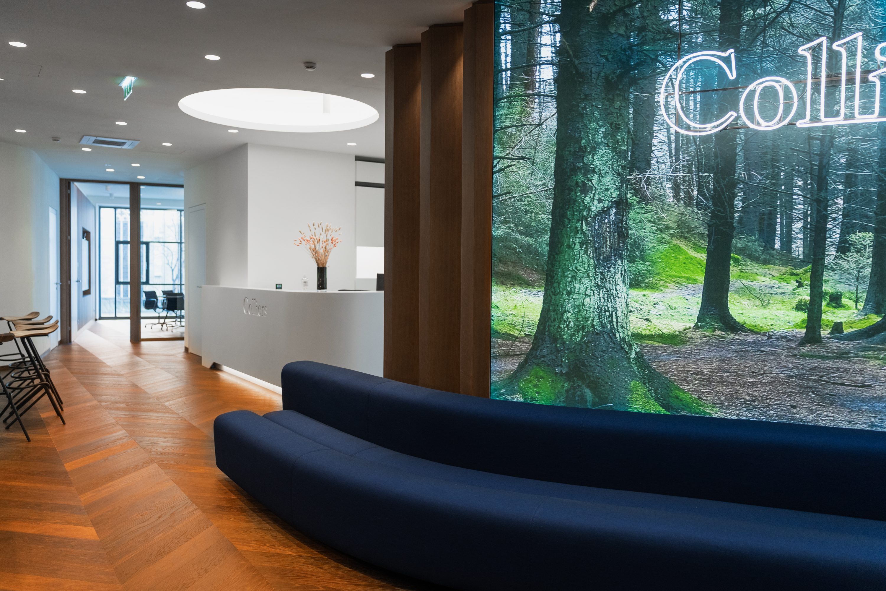 Colliers Real Estate - Trevision